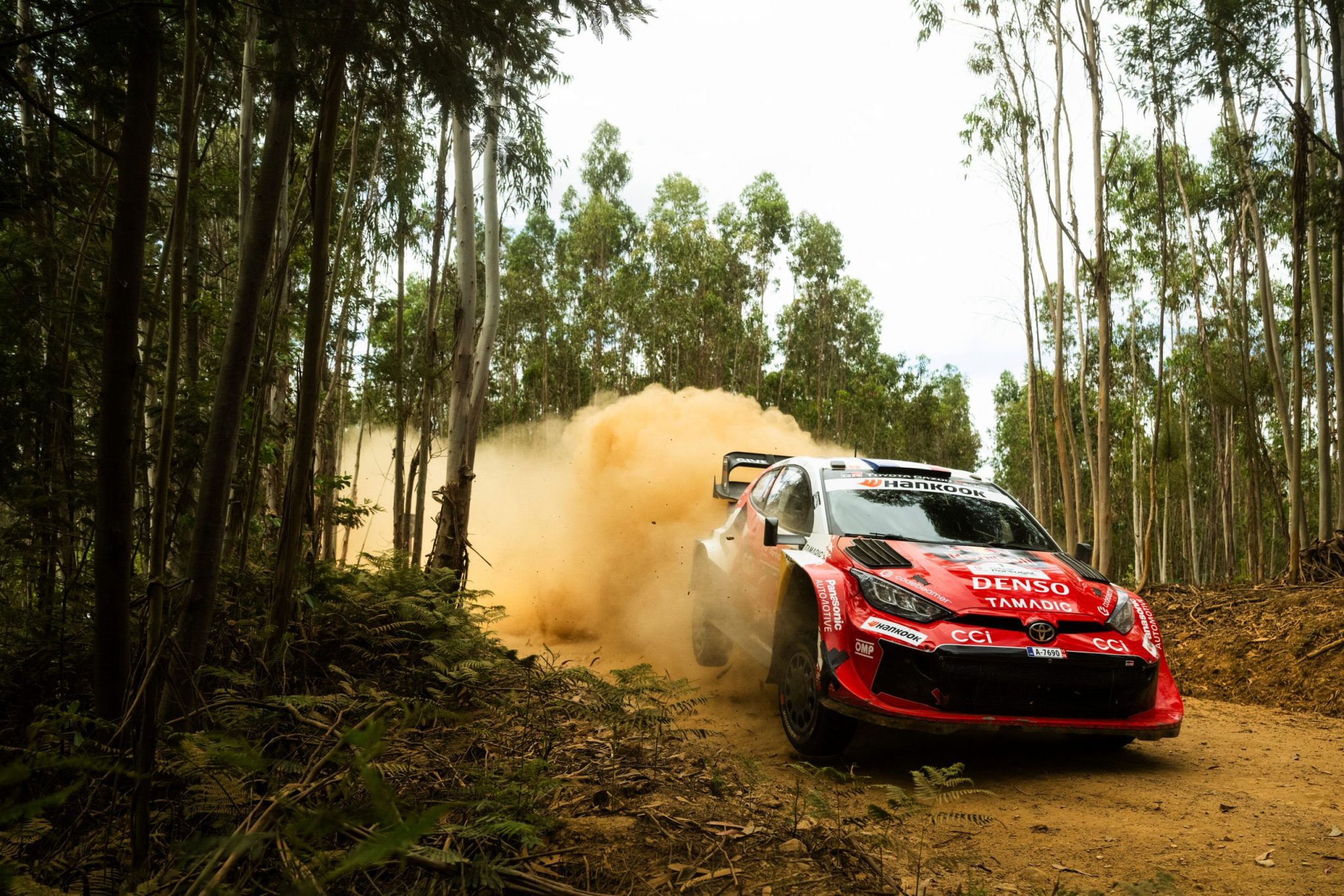O dramático desgosto de Sébastien Ogier no Rally de Portugal: como um ...