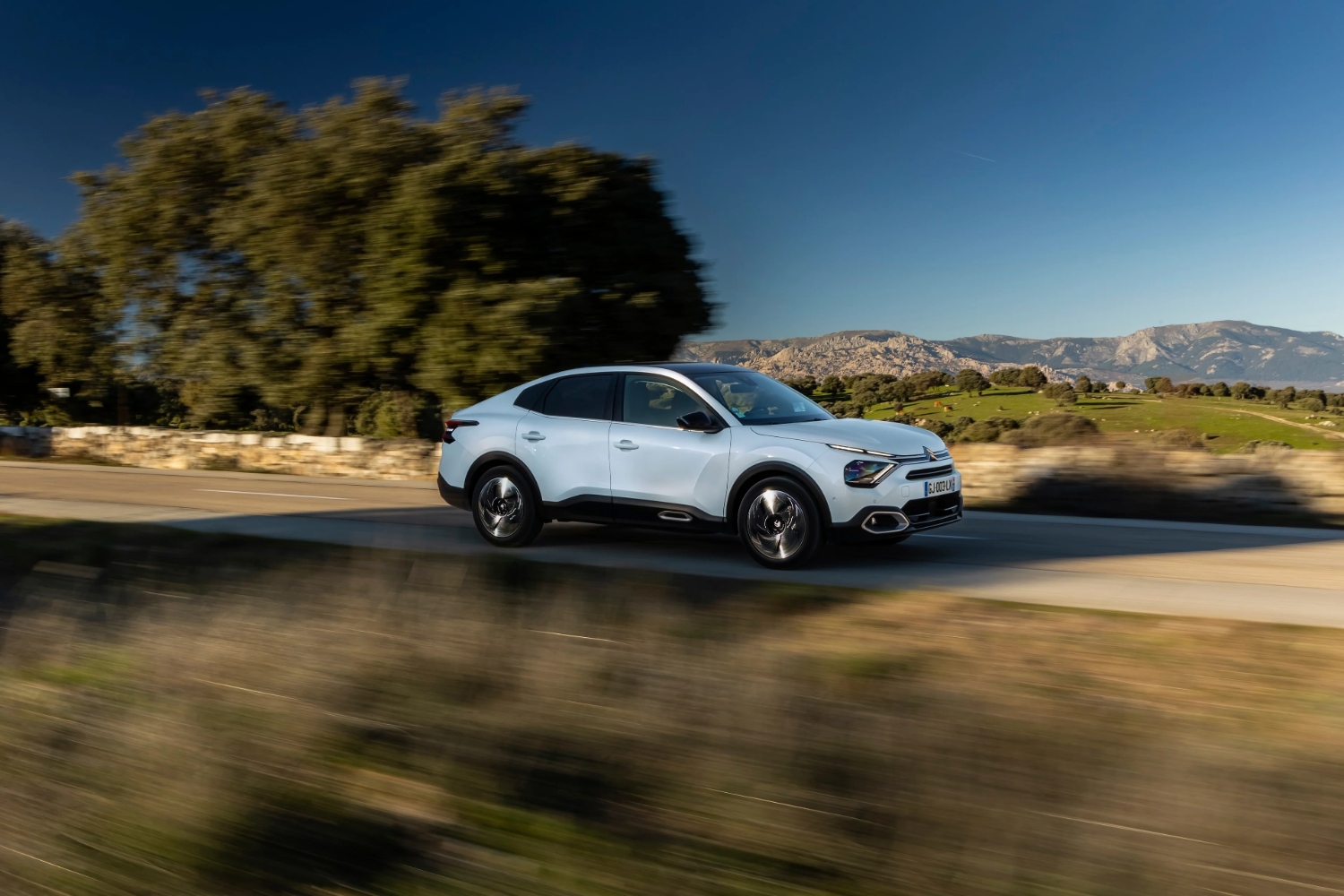 Citroën C4 and C4 X debut 48 V hybrid engine.